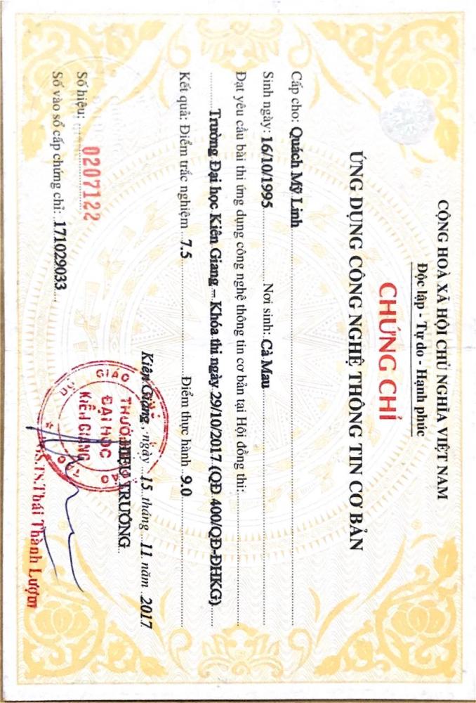 HỒ SƠ ỨNG VIÊN Mỹ Linh Quách